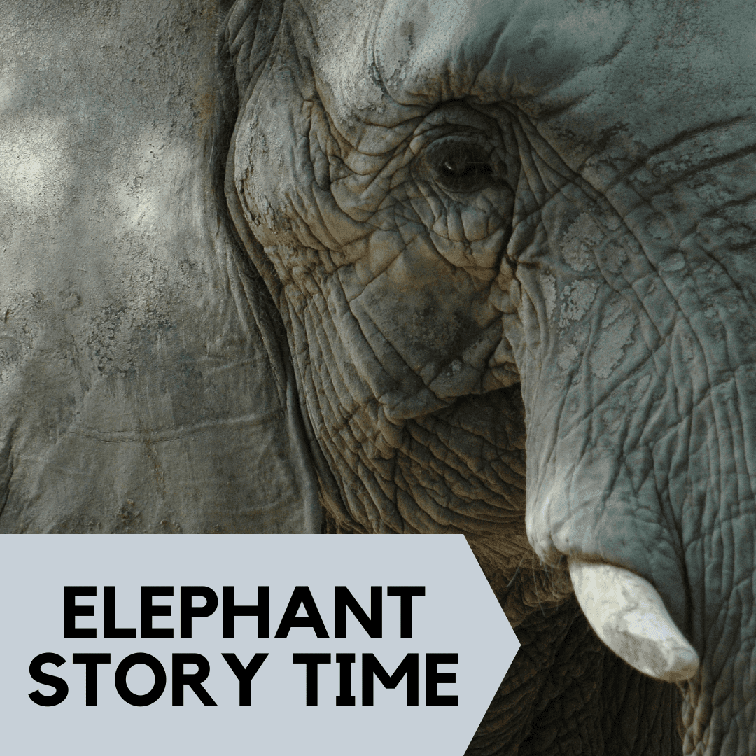 Live Stream Story Time Supplementary Materials all in one post – Marion ...